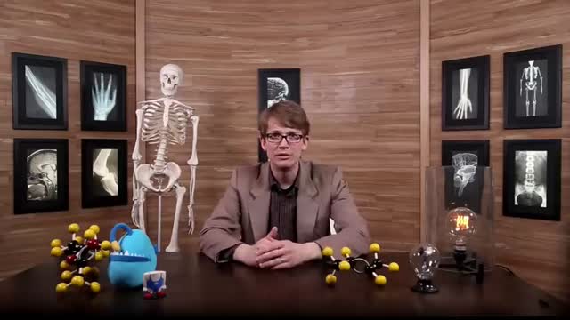 Introduction to Anatomy & Physiology Crash Course Anatomy & Physiology ...